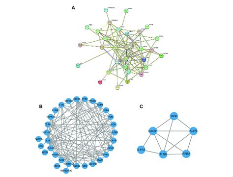 The Construction Of The Ppi Network And The Identification Of The Hub Download Scientific