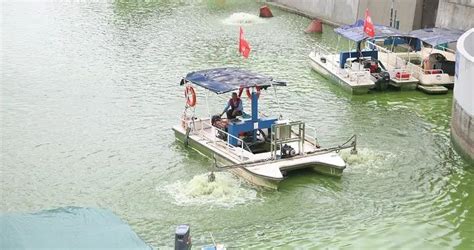 蓝藻 蓝藻最新消息 新闻 图片 视频 聚合阅读 新浪网