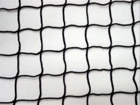 Bird Protection Netting At Sq Ft Bird Netting In Mumbai ID