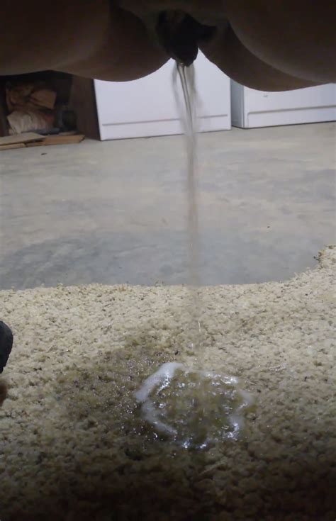 Basement Carpet Piss Thisvid Com