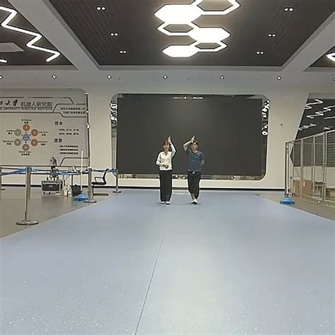 Monocular 3d Pedestrian Detection Results A Raw Rgb Capture Example Download Scientific