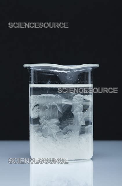 Crystallization Of Supersaturated Sodi Stock Image Science Source