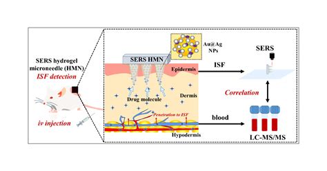 Hydrogel Coated Sers Microneedles For Drug Monitoring In Dermal