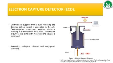 Gas Chromatography Detectors Pptx