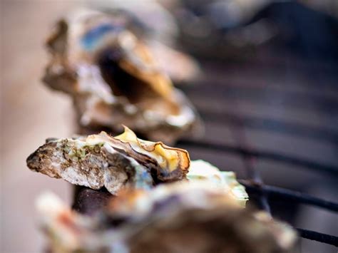 Bunuru The Season Of Adolescence Waitoc