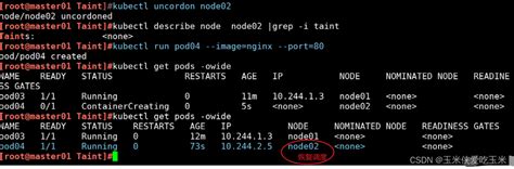 【kubernetes】关于k8s集群的污点、容忍、驱逐以及k8s集群故障排查思路 阿里云开发者社区