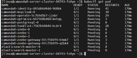 issue with camunda 8 installation camunda 8 topics camunda forum