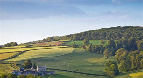 Contact Us Form Confirmation Bookcheck