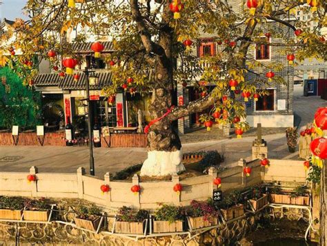 宝安区旅游景点大全 第8页 深圳旅游景点
