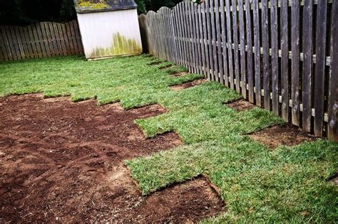 Coobs Landscaping How To Install Sod A Step By Step Guide