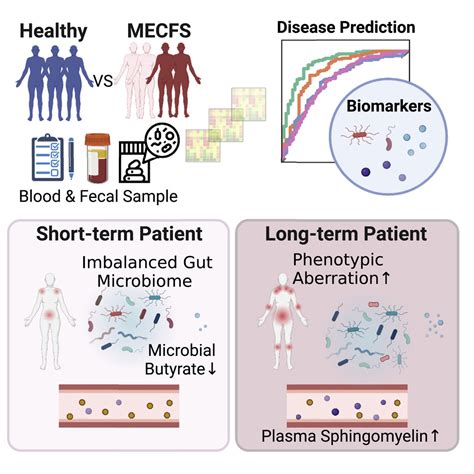 Multi ‘omics Of Gut Microbiome Host Interactions In Short And Long
