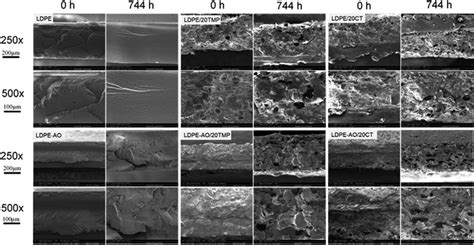 Environmental Scanning Electron Micrographs Of Ldpe Ldpe20tmp Download Scientific Diagram