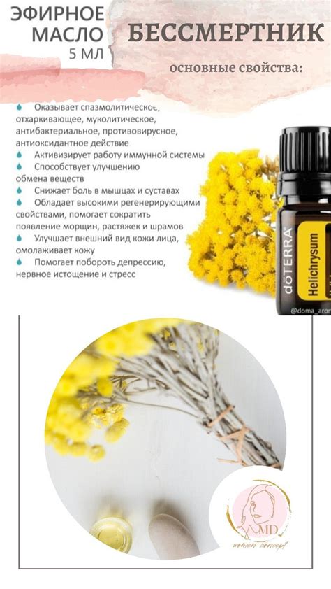 Бессмертник | Doterra эфирные масла, Смеси эфирных масел, Эфирные масла ...