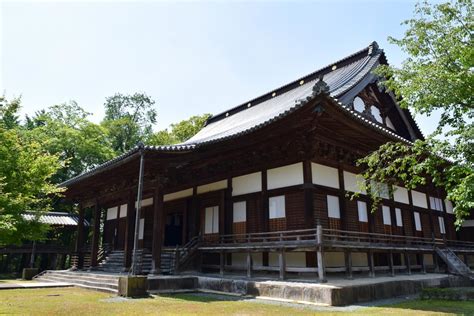 コスモスパーク北野 観光スポット 公式福岡県の観光 旅行情報サイトクロスロードふくおか