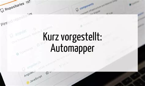 kurz vorgestellt automapper matthias büge