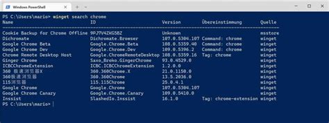 Programme Installieren Und Aktualisieren Aus Dem Windows Terminal Mit