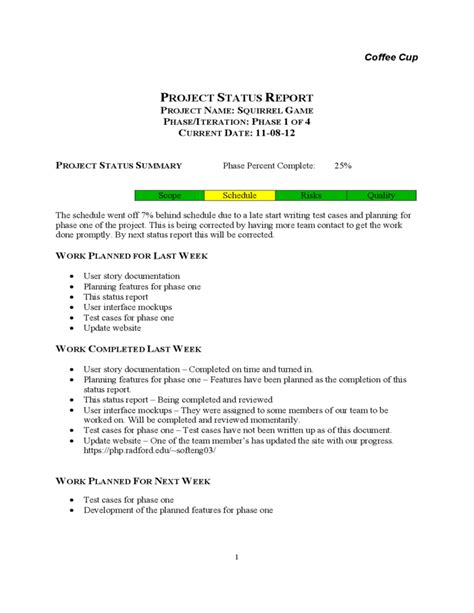 Qa Weekly Status Report Template