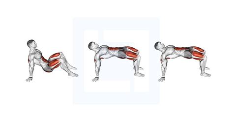 Table Top Bridge Traps Workout Hamstring Workout Glutes Workout