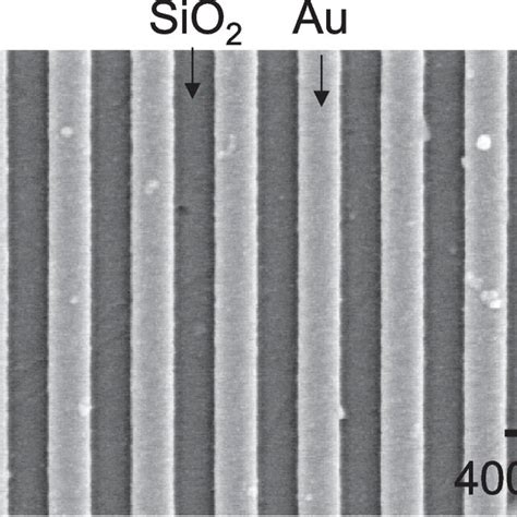 Surface Sem Image Of The Fabricated Au Diffraction Grating Download Scientific Diagram