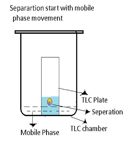 Pharma Information Zone Thin Layer Chromatography Experiment Procedure
