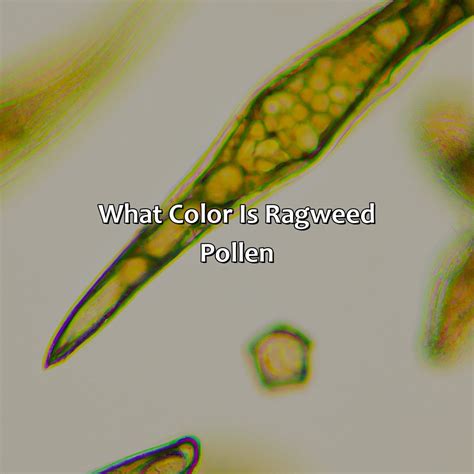 What Color Is Ragweed Pollen