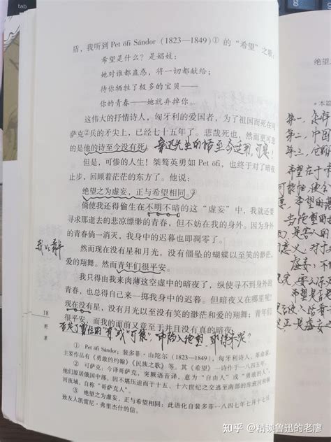 鲁迅语录10绝望之为虚妄正与希望相同 知乎
