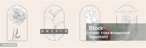 손으로 그린 여성 로고 템플릿 세트 장미 꽃 고급 타이포그래피와 유칼리투스 일러스트 화장품 보석 여성스타일의 미용 제품 기호 0명에 대한 스톡 벡터 아트 및 기타 이미지