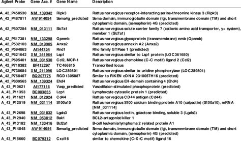 Annotation Of The 21 Selected Agilent Probes Using The Random Forest Download Table
