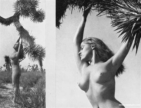 Gorgeous Vintage Model Diane Webber Poses Naked And Teases With Her Big