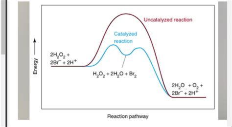 Topic 4 Transition Metals Flashcards Quizlet