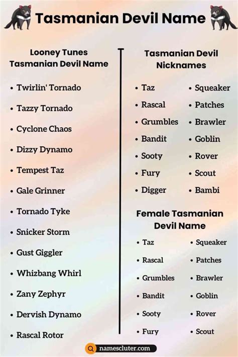 150 Best Cute And Catchy Tasmanian Devil Names