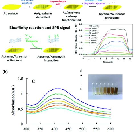 Metal Enhanced Fluorescence Biosensors A Fluorescence Imaging Of