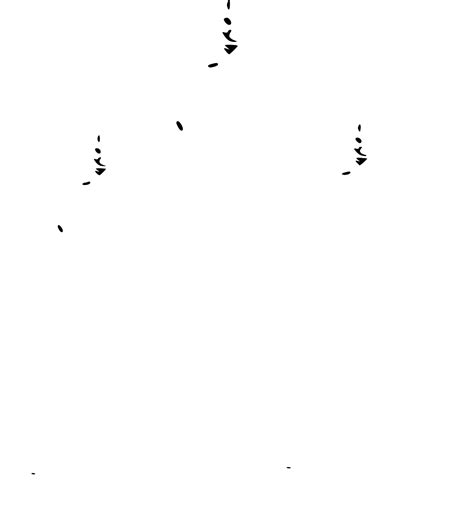 SVG Forest Bark Landscape Trees Free SVG Image Icon SVG Silh