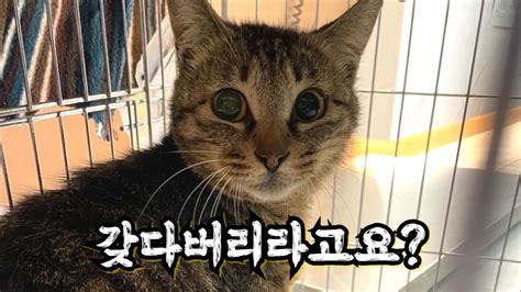 너무 심한 말을 들었습니다 Youtube