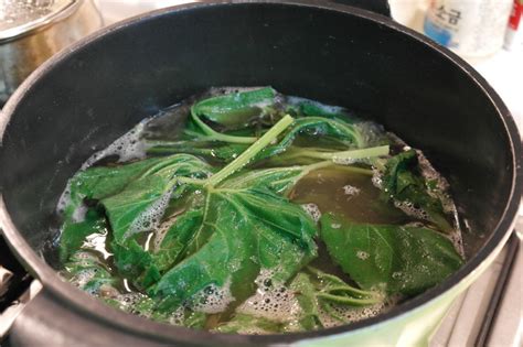 잃었던 입맛 돌아온다는 쌉싸름한 봄나물로 차린 식탁