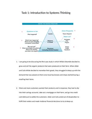 Systems Task Task Brittany Hall Systems Thinking D Application Of System