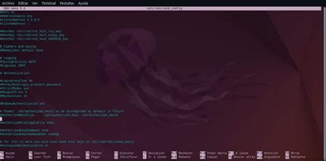 Learning Ssh Sshd Config File Options And Parameters