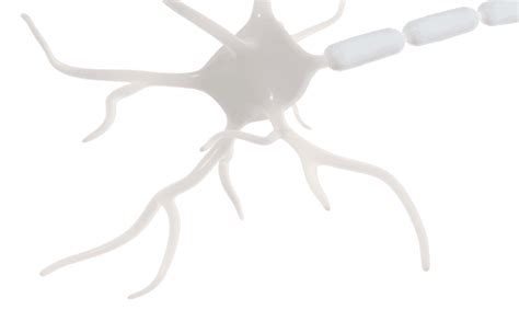 Neurology Pipeline Sanofi