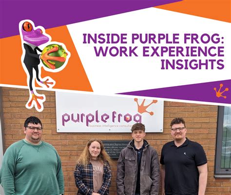Inside Purple Frog Work Experience Insights Purple Frog Systems