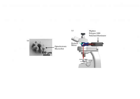 single cell isolation using the optoelectronic microrobot mightex