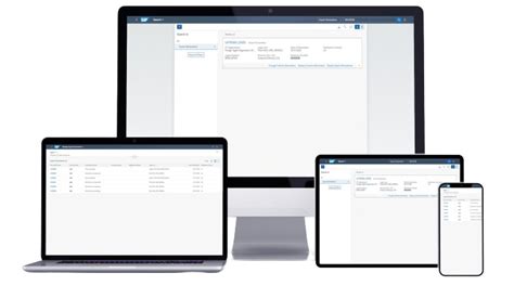 SAP Global Trade Services Dash Consultancy Services