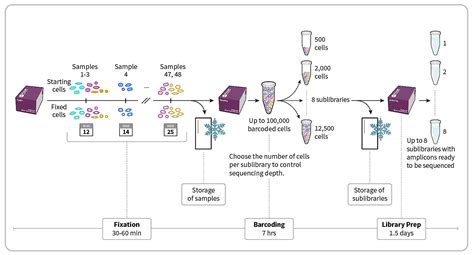 Products Parse Biosciences