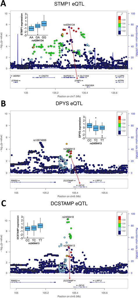 Regional Association Plots Generated Using The Eqtl Association Results Download Scientific
