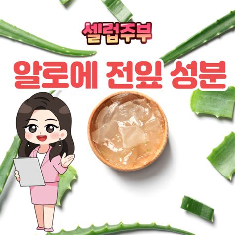 알로에 전잎 성분 효능 먹는법 부작용 없을까 주의점은 네이버 블로그