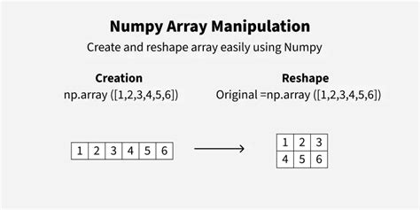 Create Arrays In Python Numpy Learn Scientific Computing