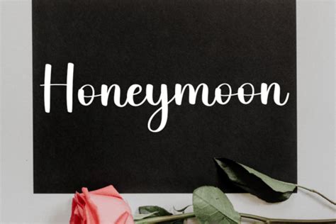 Class Font Elegant Script For Invitations And Branding Font Canyon