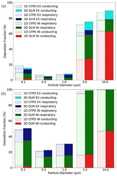 Comparison Of Deposition Fractions Between 1d Cfpd And 3d Deep Lung Download Scientific Diagram