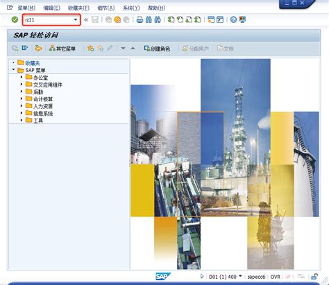 启用sap Gui脚本设置 Csdn博客
