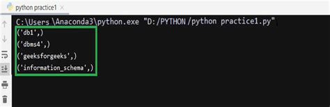 如何将 Python 与 SQL 数据库连接起来 码农参考