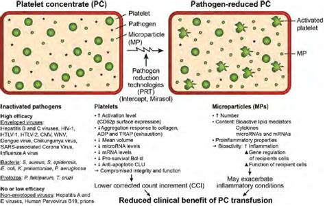 The Platelets Perspective To Pathogen Reduction Technologies Prt